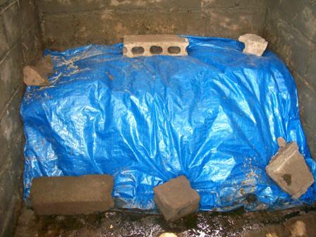 proses inkubasi | Berbagi Tak Pernah Rugi