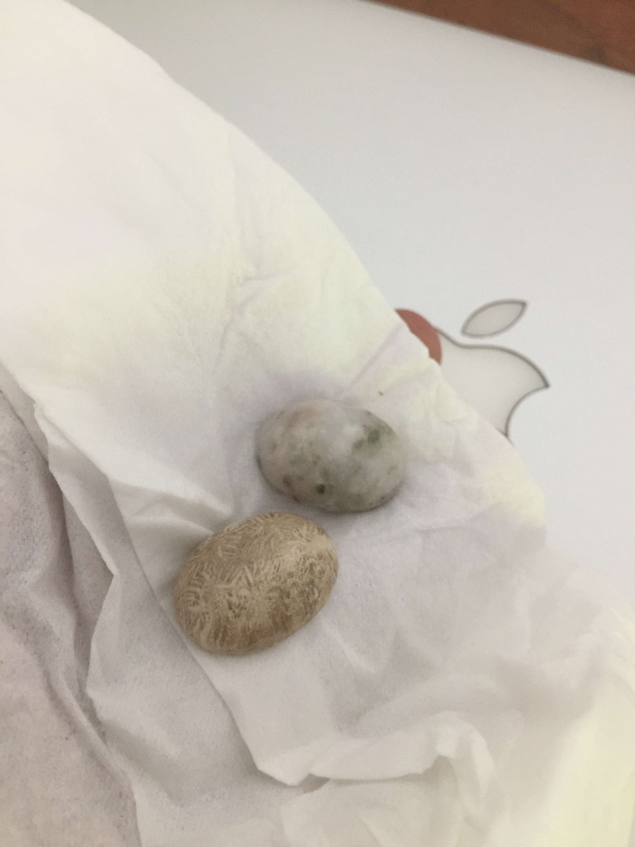 Kisah-kisah di ArasoE: Batu Sojol hadiah Pak ADM | Berbagi Tak Pernah Rugi